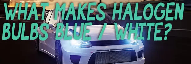 What Makes Halogen Bulbs White/Blue? | PowerBulbs UK